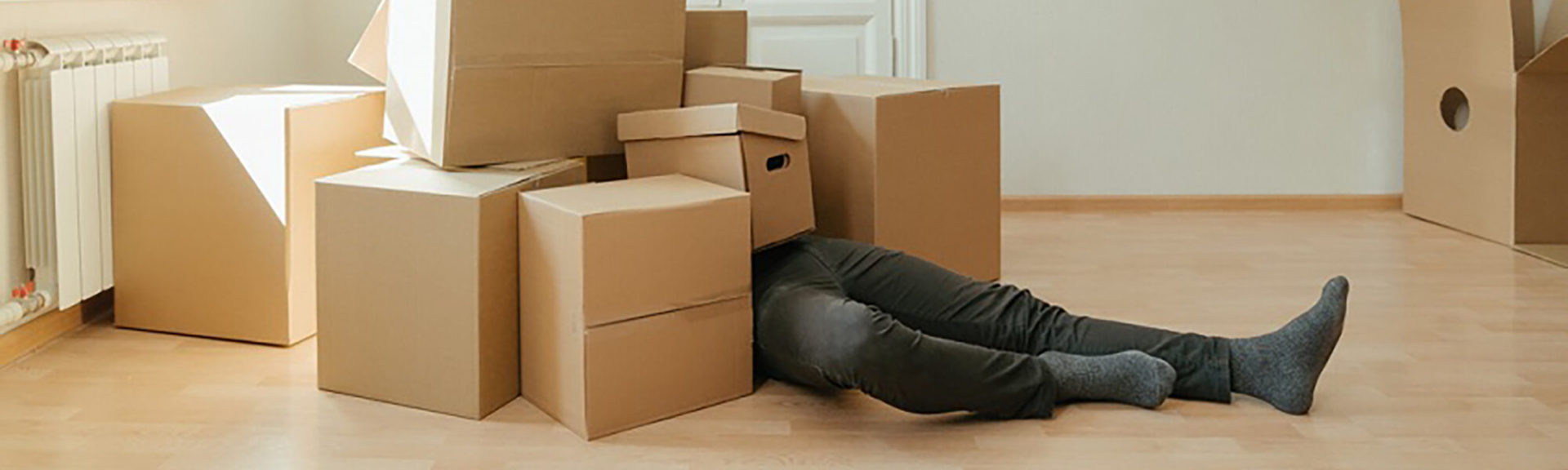 Contact Our Team | Wild & Lye Removals